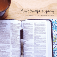 SOAP Notes – The Beautiful Unfolding
